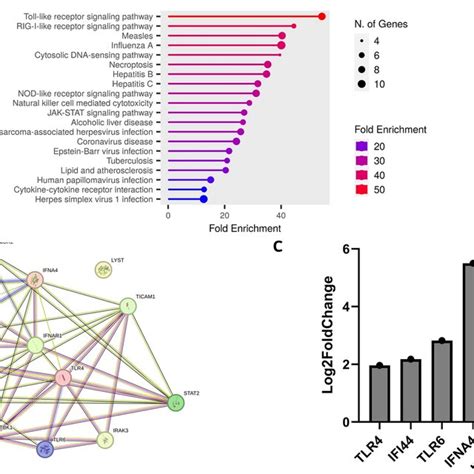 pathway analysis and transcriptomic profiling a pathway enrichment
