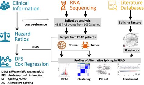 Flowchart For Profiling The Alternative Splicing As Of Prostate