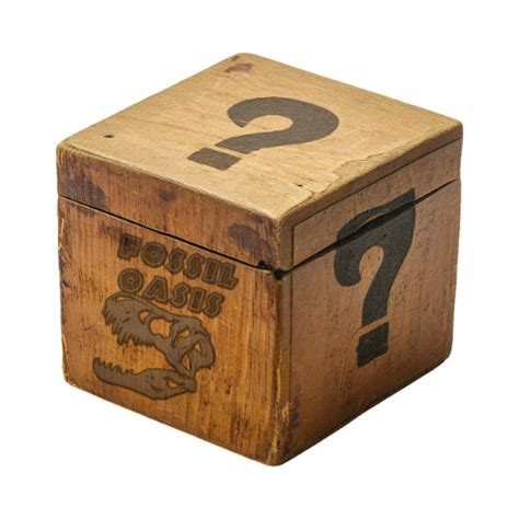 Fossil Mystery Box Fossil Oasis
