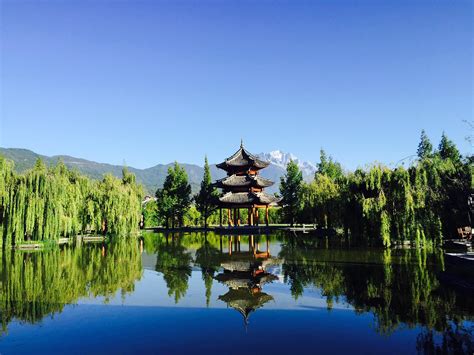 中国古典园林植物设计风格的形成 绿动园林 站酷ZCOOL
