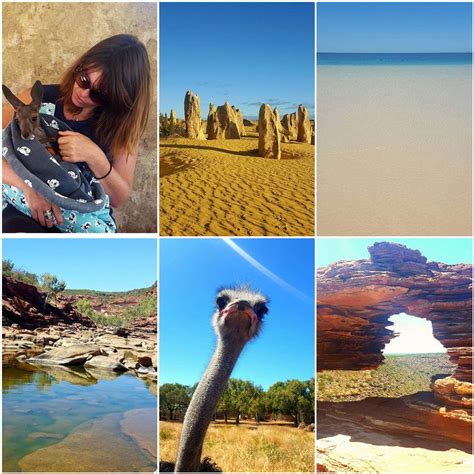 Ali Macleod Alimacleod10 Twitter