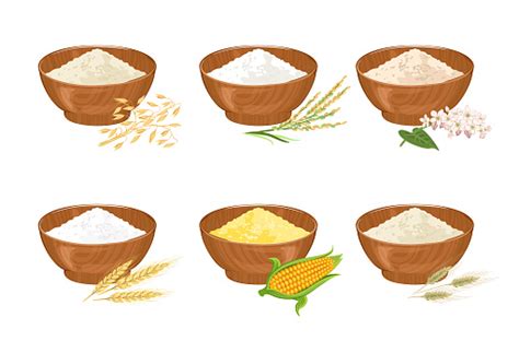 나무 그릇에 밀가루의 다른 유형의 세트와 흰색 배경에 고립 스파이크 만화 플랫 스타일로 귀리 쌀 메밀 밀 옥수수 호밀 가루의 벡터 일러스트 가루로 빻은에 대한 스톡 벡터