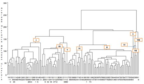 dendrogram showing hierarchical clustering patterns of 124 coffee