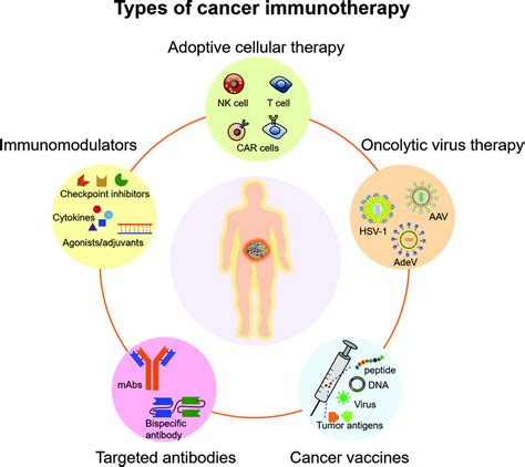 The History And Advances In Cancer Immunotherapy 53 Off