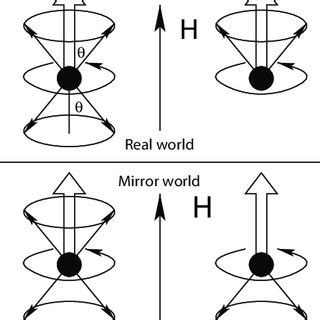 The effect of mirror symmetry on the β emission from Co The Download Scientific Diagram