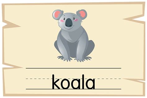 考拉熊的 Wordcard 範本向量圖形及更多串字圖片 串字 剪裁圖 剪貼畫 Istock