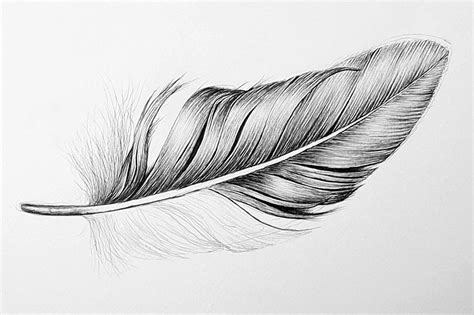 How To Draw A Realistic Feather Step By Step