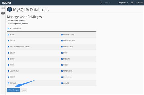 hướng dẫn upload website lên hosting cho cpanel directadmin