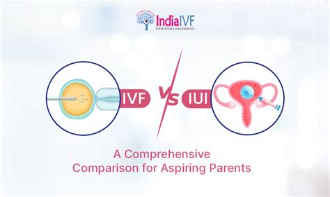 Ivf Vs Iui Understanding The Differences Success Rates And Costs