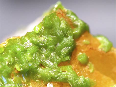 Pyromorphite Mineral Specimen For Sale