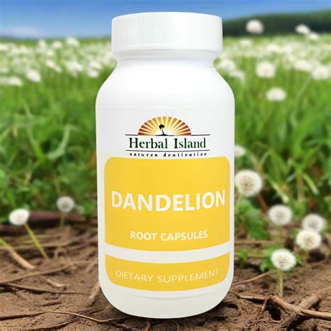 Dandelion Root Powder Capsules 500mg Herbal Island