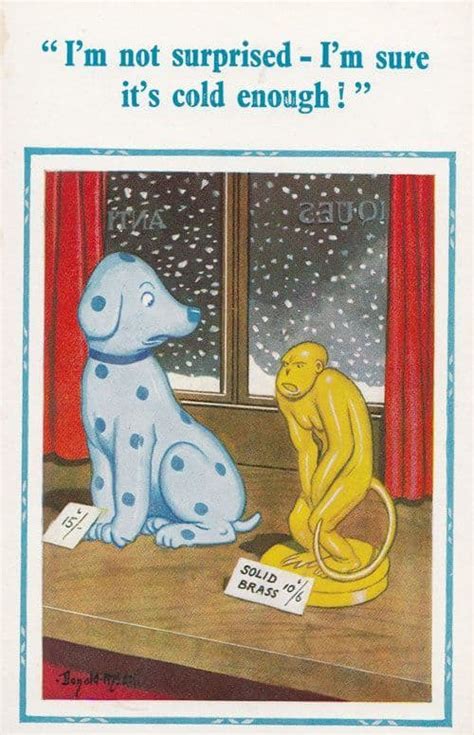 Brass Monkey Meme At Harold Case Blog