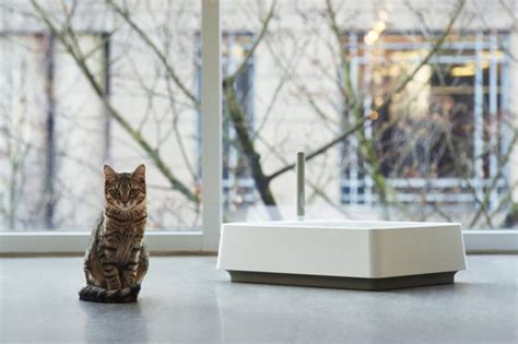 Tuftandpaw Coding Webdevelopment Shopify Codingbootcamp Vancouver