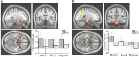 Encoding Activity Showing Subsequent Memory Effects Across Emotional