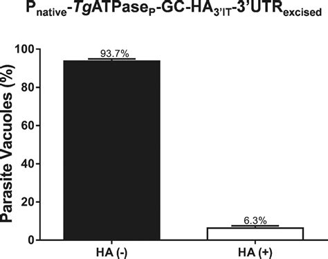 An Unusual And Vital Protein With Guanylate Cyclase And P4 Atpase