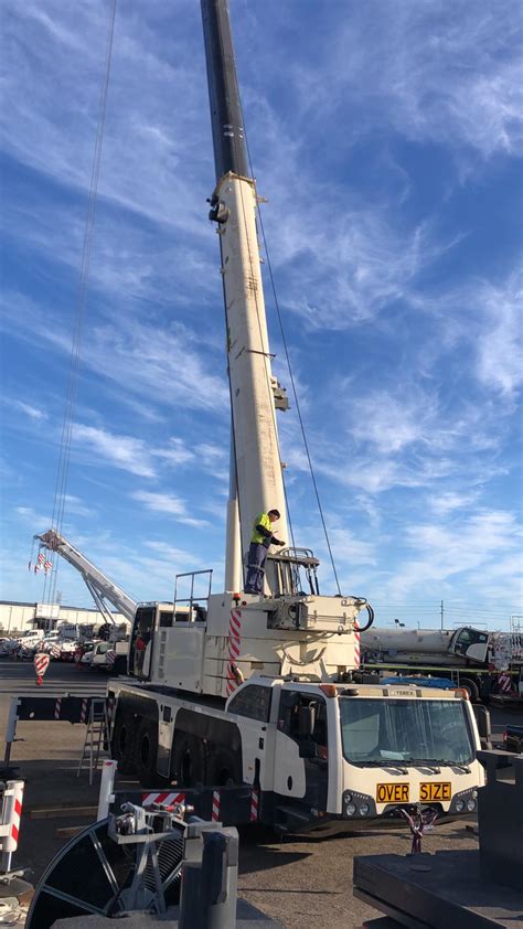 Gallery Cossack Inspections