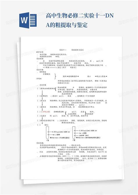 高中生物必修二实验十一 Dna的粗提取与鉴定word模板下载编号qrzmozwg熊猫办公