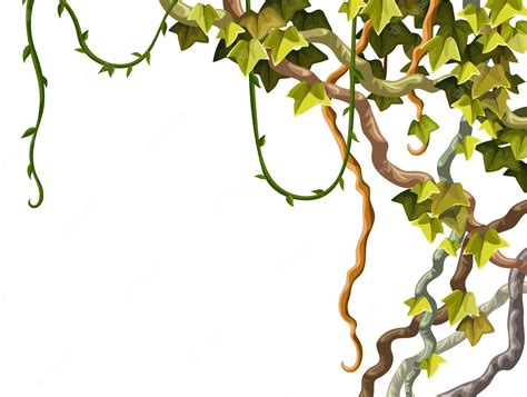 Premium Vector Ivy Frame Liana Branches And Tropical Leaves