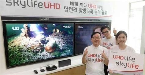 스카이라이프 1분기 영업익 243 감소한 231억원일회성 수익 착시효과 조선비즈