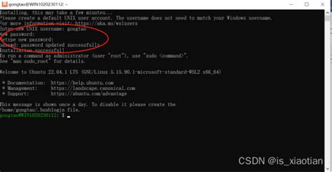 Wslubuntu Csdn