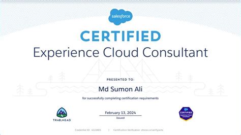 Md Sumon Ali On Linkedin Salesforce Inovisolutions