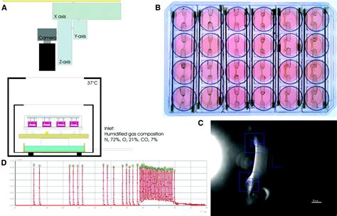 Development Of A Drug Screening Platform Based On Engineered Heart Tissue Circulation Research
