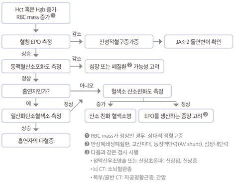 적혈구 증가증erythrocytosis Polycythemia Metamedic