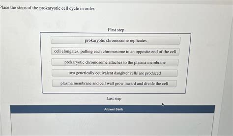 Solved Place The Steps Of The Prokaryotic Cell Cycle In