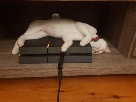Rest Mode R Gaming