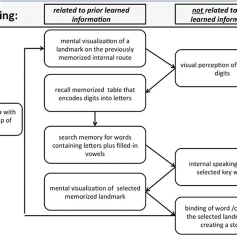 Encoding Schematic View Of A Typical Processing Chain When Encoding A Download Scientific