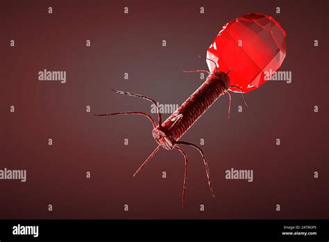 3d Illustration Close Up Of Microscope Bacteriophage On Red Background