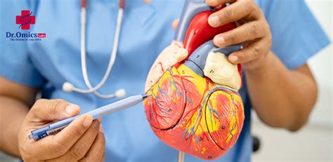 Cardiovascular Genetic Testing Personalized Nutrition For Heart Health