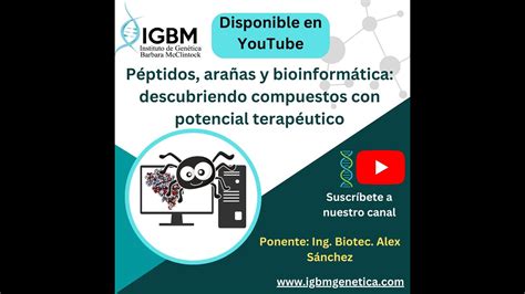Péptidos arañas y bioinformática descubriendo compuestos con