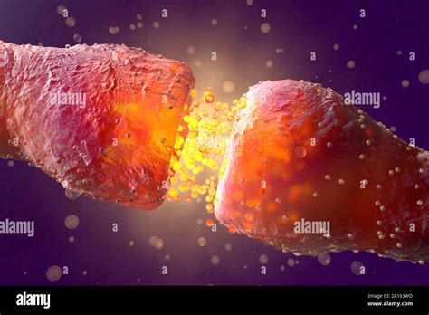Neurons Firing Synapse