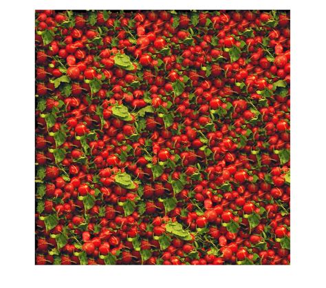 Github Pjunhyuk Imagequilting Image Quilting For Texture Synthesis And Transfer