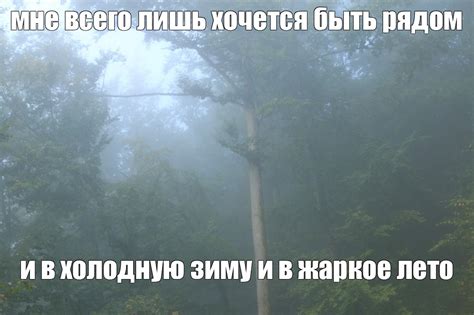 Meme мне всего лишь хочется быть рядом и в холодную зиму и в жаркое