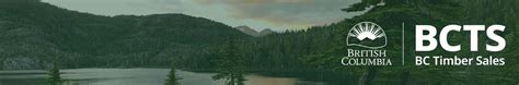 Bc Timber Sales Review Taking Action To Evolve Bcts Province Of