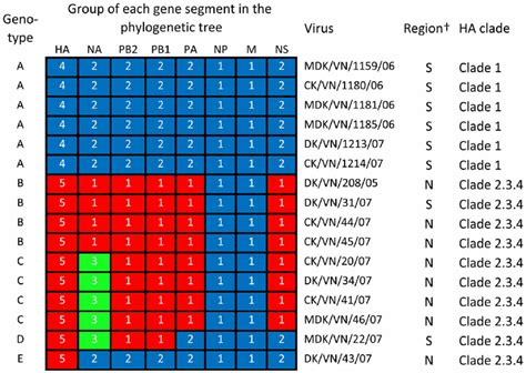 Genotypic Evolution Of H5n1 Viruses Isolated From Poultry In Vietnam In