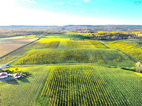 Nova Scotia Vineyard For Sale Vinesmart