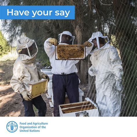 Fao On Linkedin Antimicrobialresistance