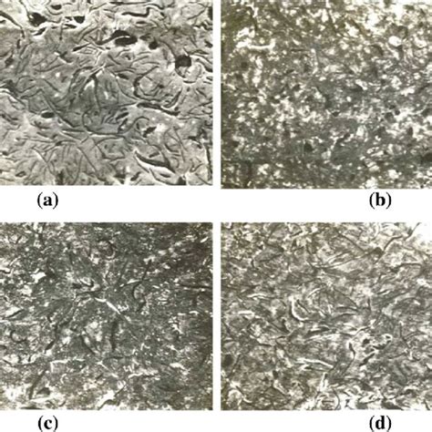 Effect Of Lead Additions On The Microstructure Of Gray Cast Iron A Base Download Scientific