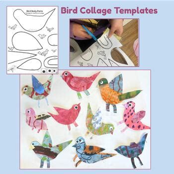 Bird Body Parts Templates For Making Bird Collages Collage Art