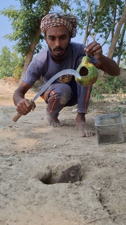 Rat Cutting In The Field 06 Agriculturelife Survival Youtube