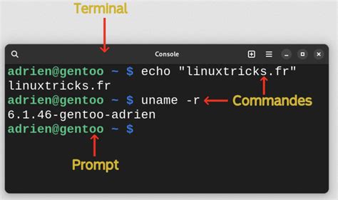 Oeasy Python062提示符是怎么来的 词根溯源 Promptinput输入函数提示符 Csdn博客
