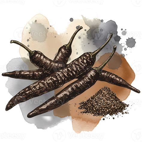 Rich Brown Chilaca Peppers And Powder Create A Vibrant Still Life Perfect For Culinary Projects