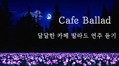 🎶 두근두근 발라드 연주 Playlist 카페에 그냥 틀어놔도 좋은 음악 들으러 오세요피아노오케스트라음악피아노오케스트라