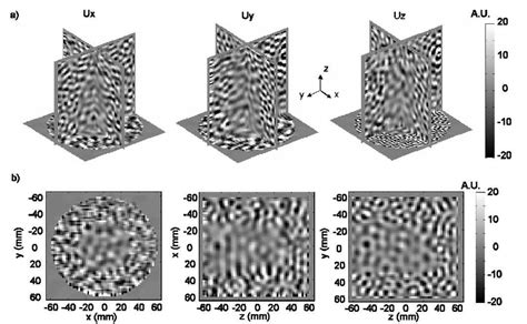 A 3d Views Of The Ux Uy And Uz Components Of The Displacement U At