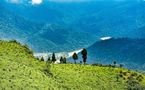 Offbeat Sittong Simana And Dawaipani Darjeeling Mirik Ahaldara