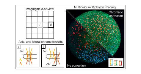Chromatically Corrected Multicolor Multiphoton Microscopy Acs Photonics