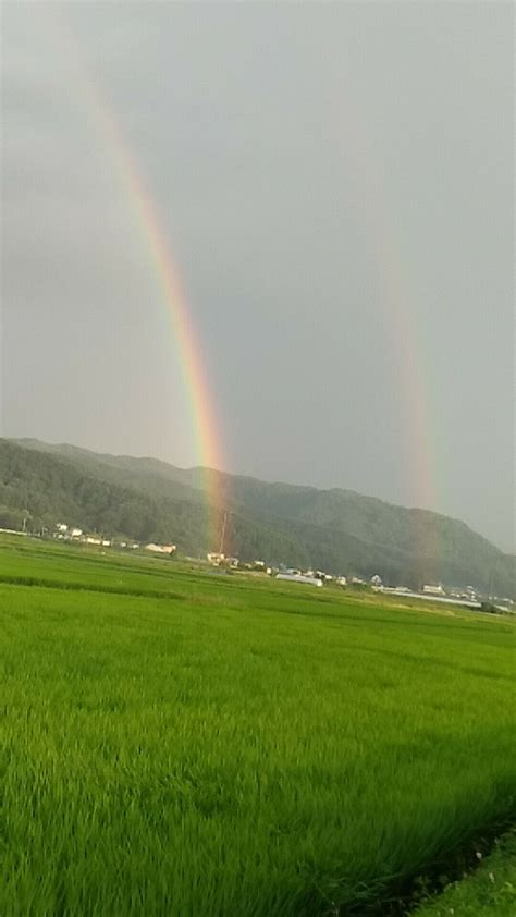 さっちさんのダイアリー：＃夕立 ＃がん以外 Peer Ring なかまと話そう！女性特有のがん